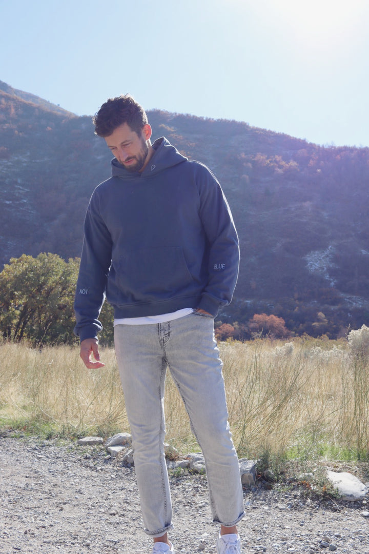 SIMPLE ALBUM – BLUE BRAND